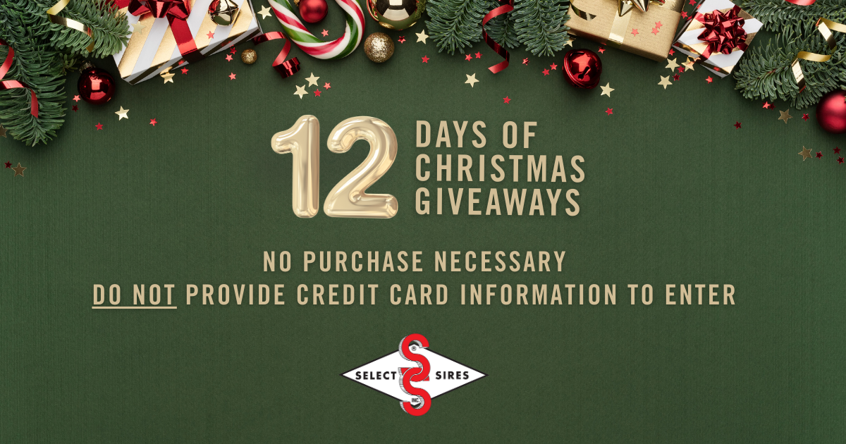 2025 Christmas Giveaway