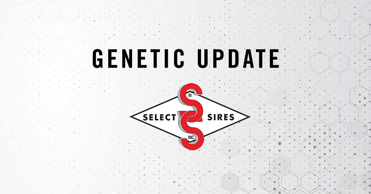 Select Sires leads the industry in protection against calf recumbency