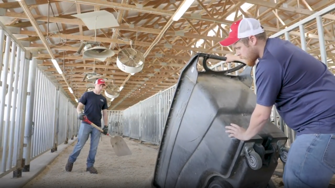 Validus Shorts: Animal Care