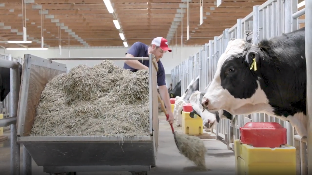 Validus Certification at Select Sires